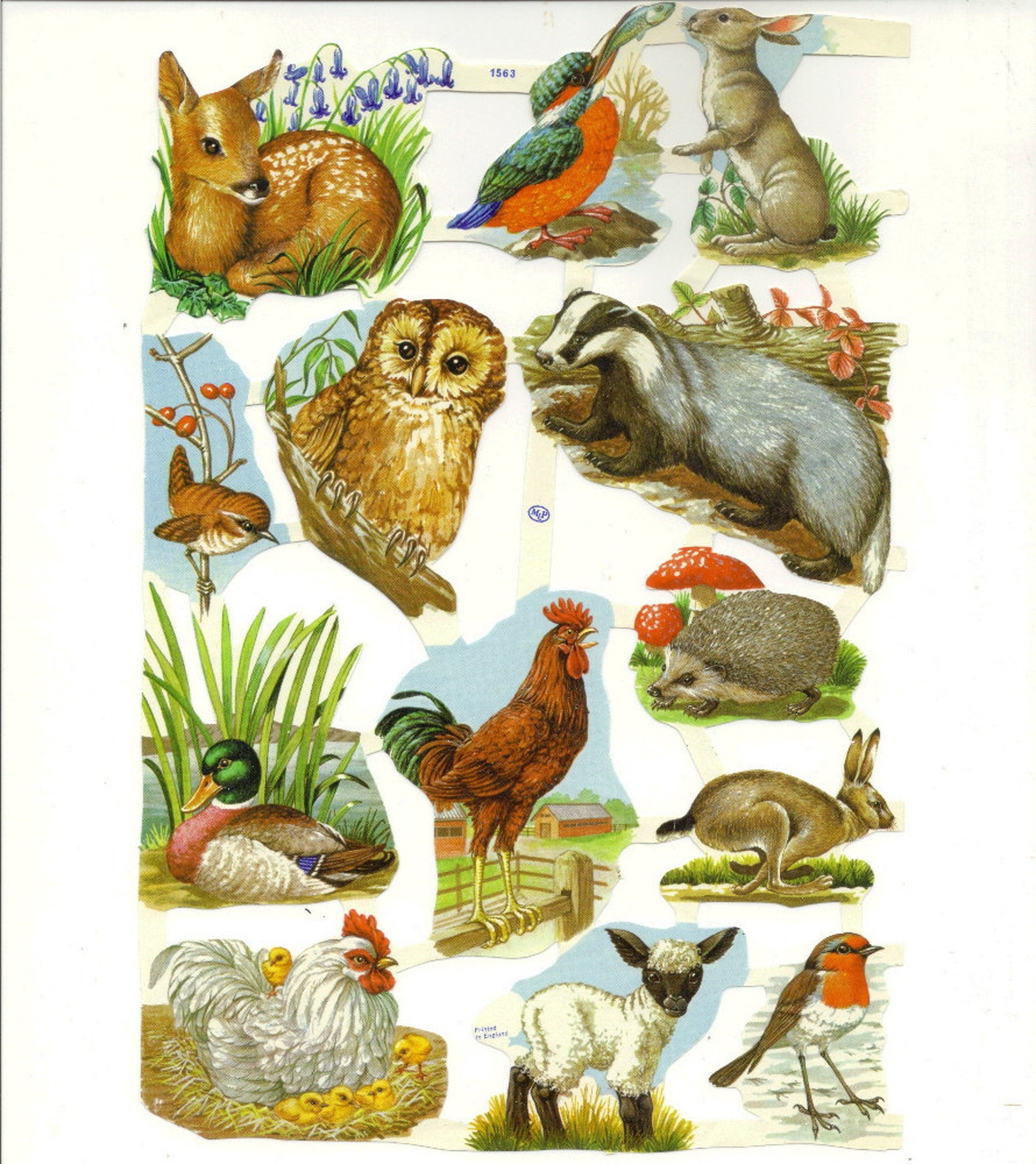 Vintage English Scrap Birds and Animals for Paper Arts PSS - Etsy