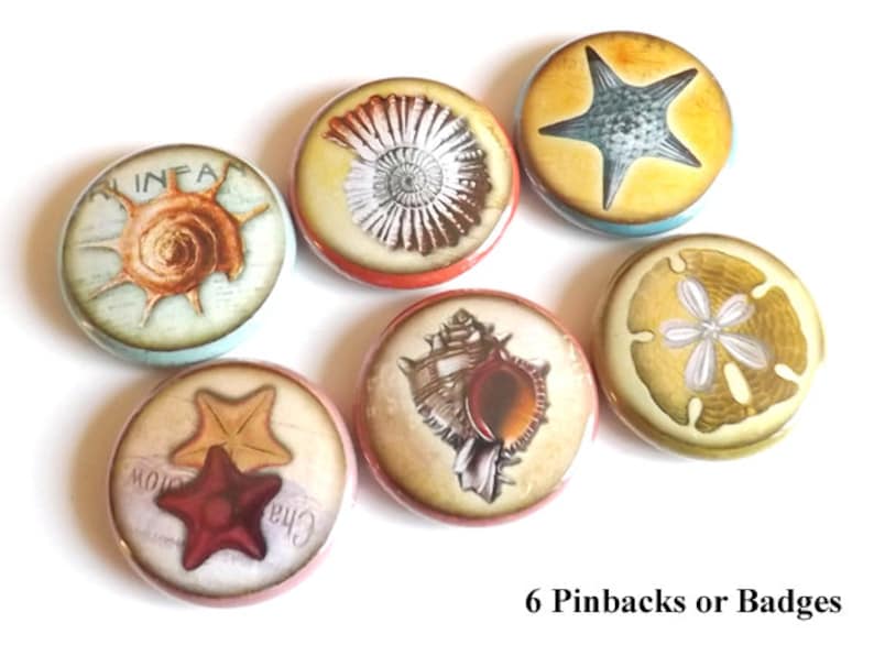 Sea Shells Button Pins Badges Stocking Stuffers Starfish Sand - Etsy