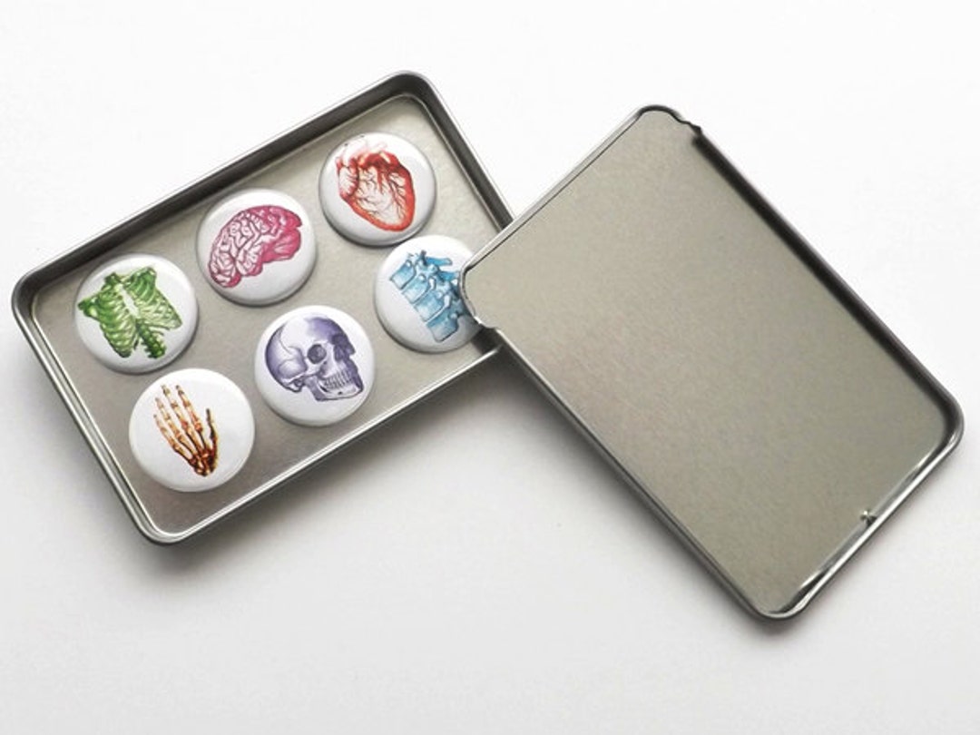 Anatomical Fridge Magnets Gift Set for Doctor Nurse Practitioner ...