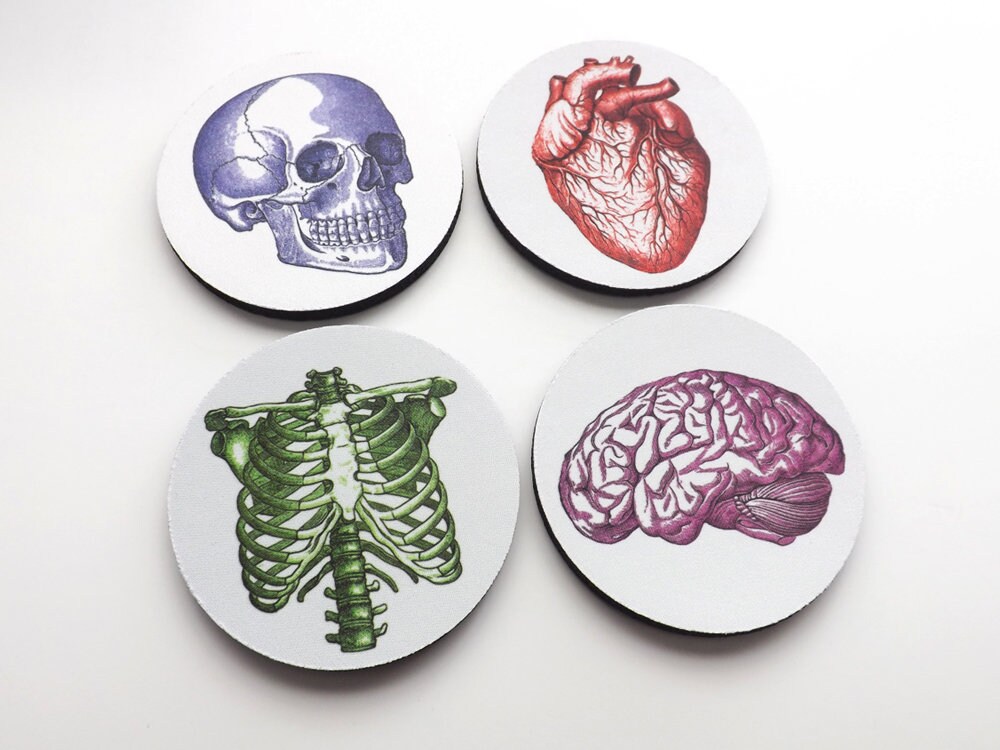 Coasters Home & Living Gift for Doctor Anatomy Coaster Anatomy is ...