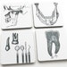 Dentist Dental Hygienist Drink Coasters Gift Set Teeth Jaw Orthodontist ...