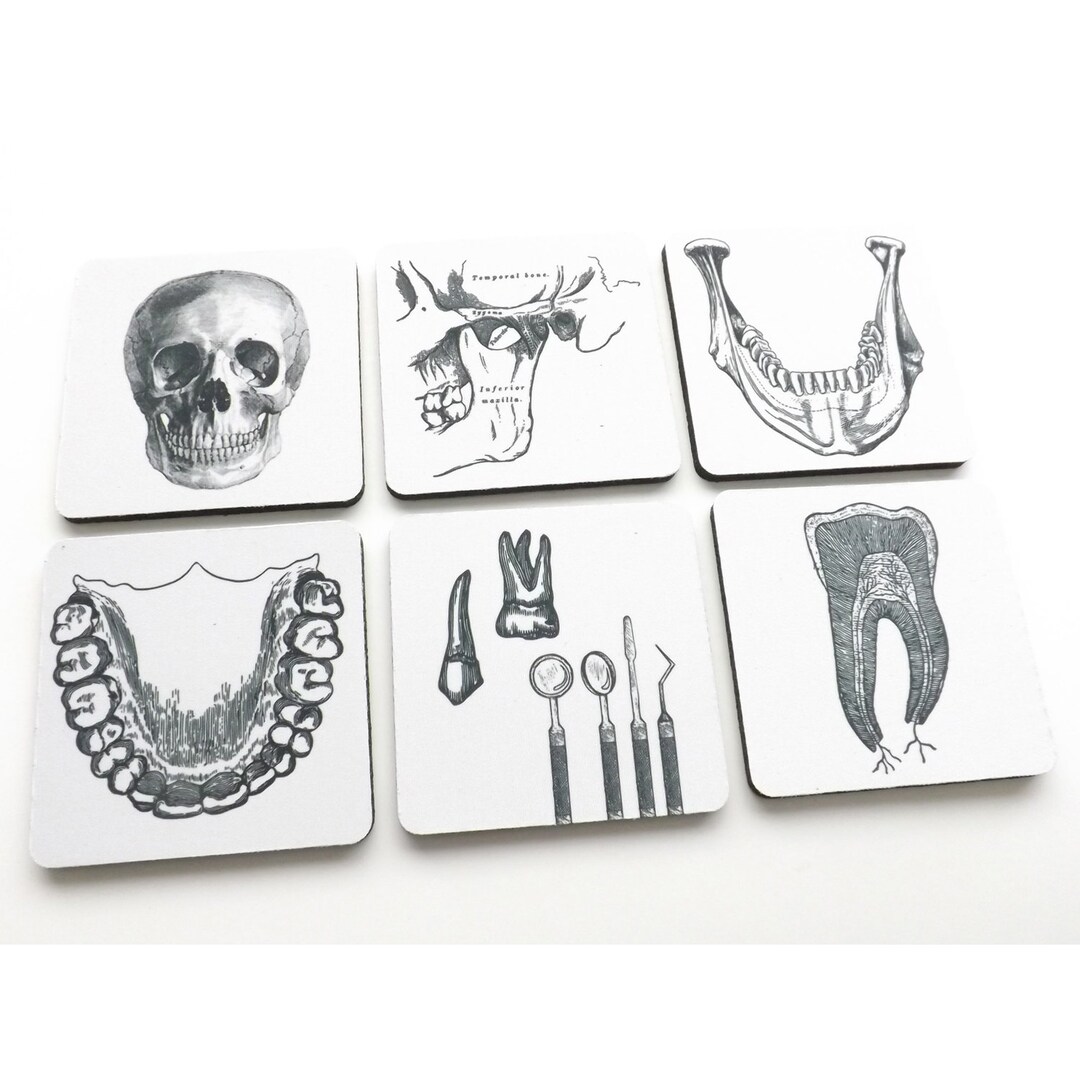 Dentist Dental Hygienist Drink Coasters Gift Set Teeth Jaw Orthodontist ...