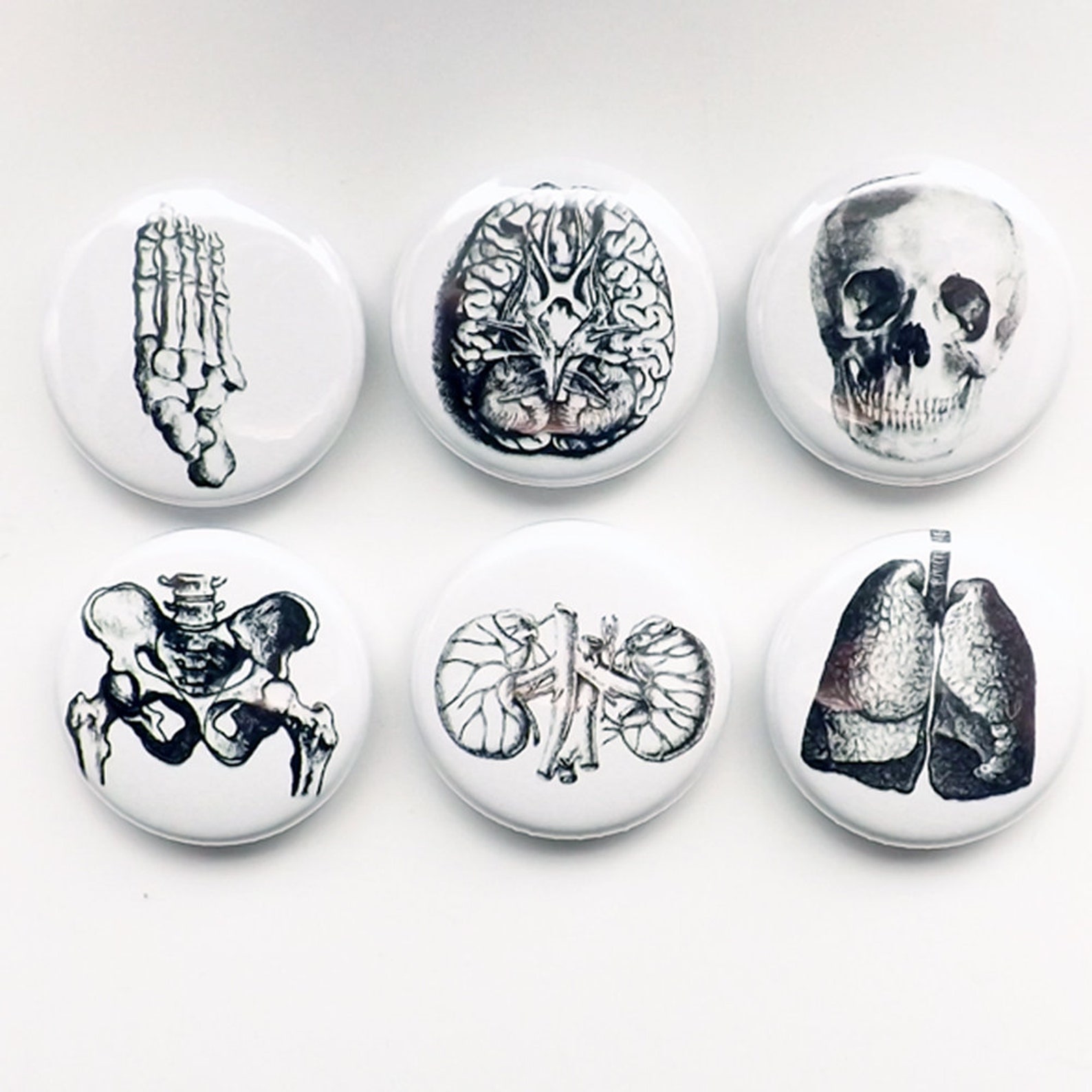 Medical Human Anatomy Gift Halloween Button Pins Flair Badges Lung ...