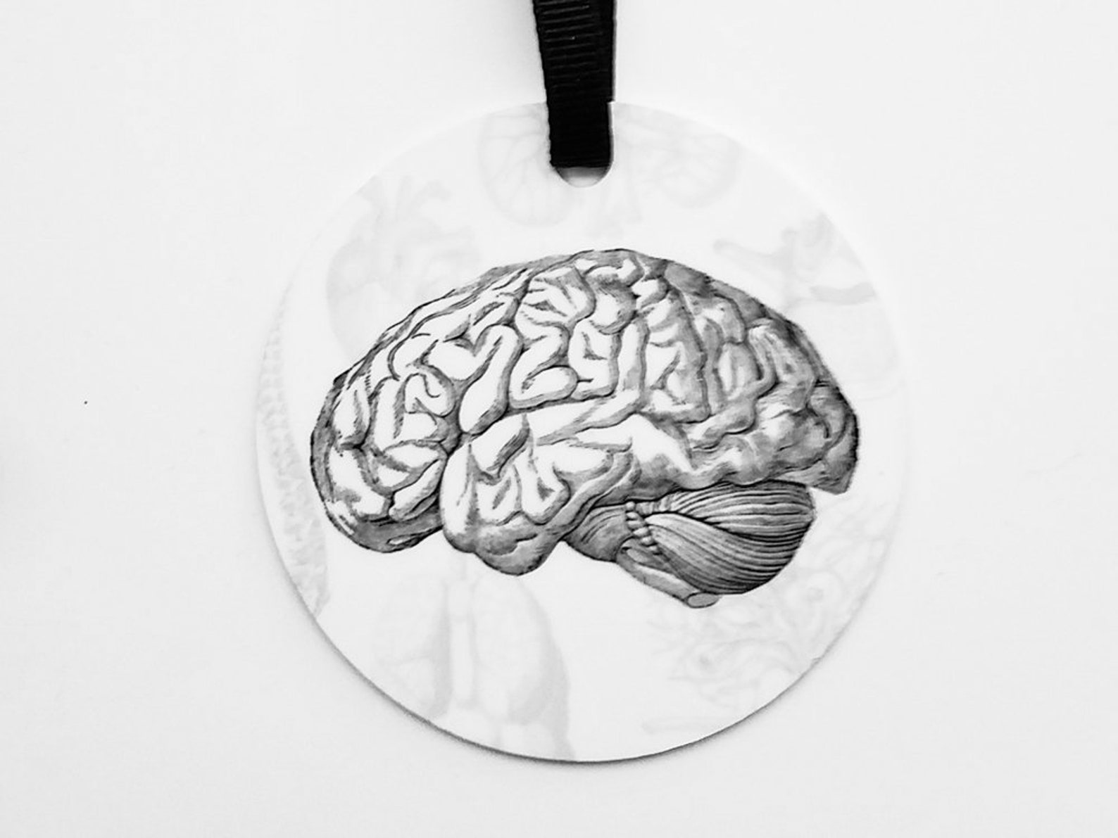 Goth Brain Anatomy Ornament Halloween Christmas Decoration - Etsy