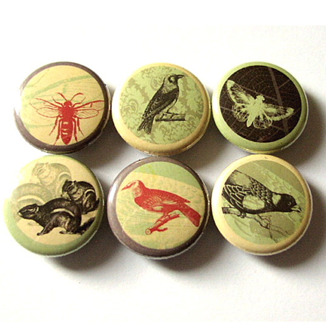 Button Pins Woodland Creatures Squirrel Birds Bee Moth Crow Party ...