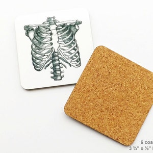 Anatomical Heart Anatomy Hardboard Coasters Graduation Doctor Physical ...