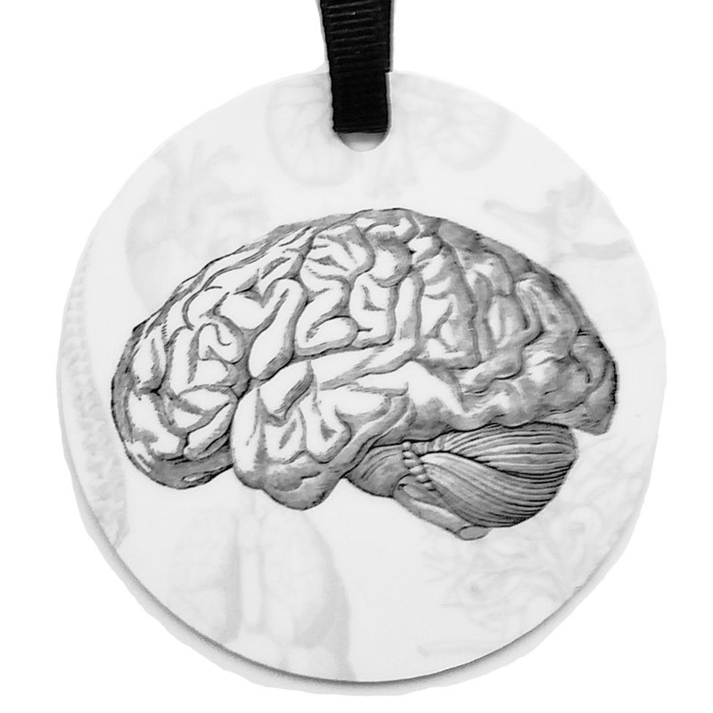 Brain Party Favors - Etsy