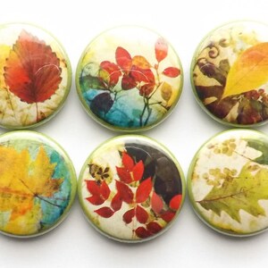 Fall Leaves Fridge MAGNETS Autumn Nature Party Favor Stocking Stuffer ...