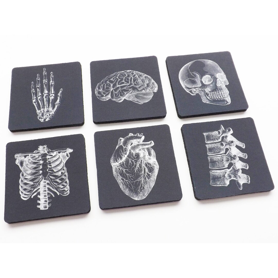 Human Anatomy Drink Coasters Medical Gift Med Student Graduation ...