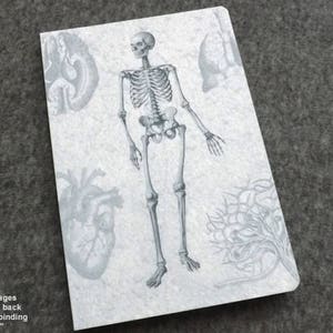 Felt Notebook Anatomy Gift Medical School Graduation Skeleton Doctor ...