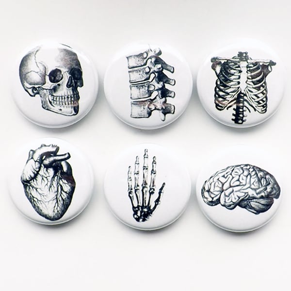 Brain Party Favors - Etsy