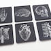 Human Anatomy Drink Coasters Medical Gift Med Student Graduation ...