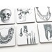 Dentist Dental Hygienist Drink Coasters Gift Set Teeth Jaw Orthodontist ...