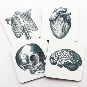 Nurse Gift Anatomy Coasters Hardboard Unique Hostess Graduation School ...