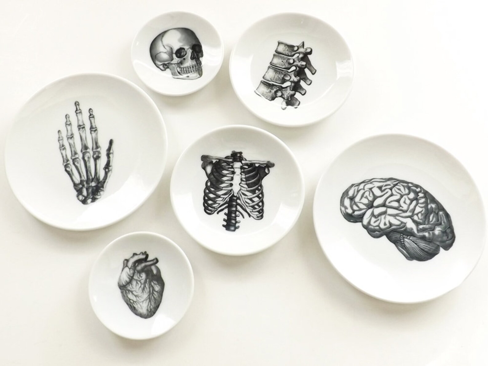 Anatomy Dishes Small Shallow Ceramic Plate Goth Decor - Etsy Australia
