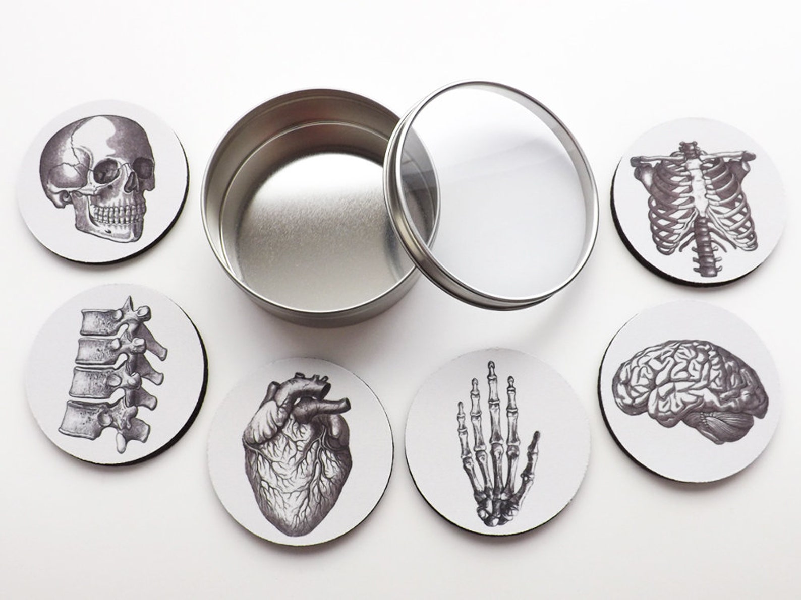 Anatomy Coasters Teacher Medical Student Hostess Gifts Party Favors ...