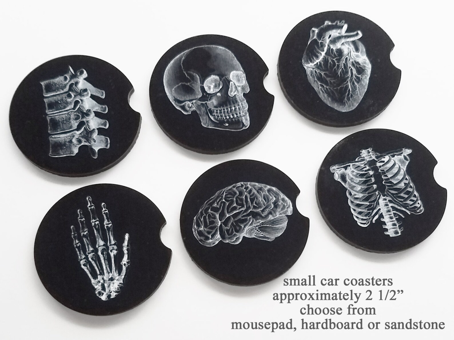 Small 2.5 Inch Car Coasters Anatomy Medical Auto Drink Cup Holder ...