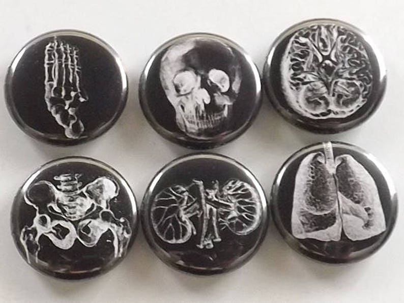 Anatomical Fridge Magnets Set Gift for Him Male Nurse Physician Skull ...