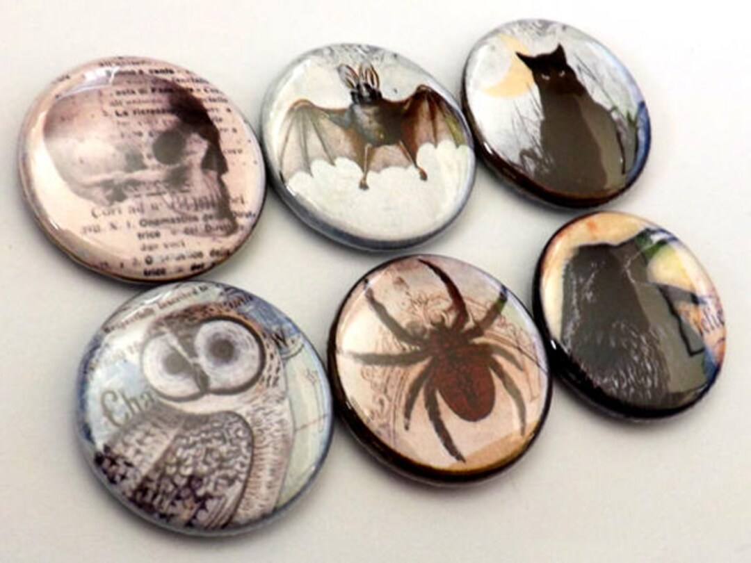 Horror Macabre Goth Fridge Magnet Set Spider Skull Crow Cat - Etsy
