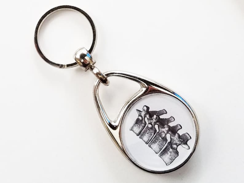 Spine Vertebrae Keychain Doctor Nurse Gift Custom Personalized | Etsy