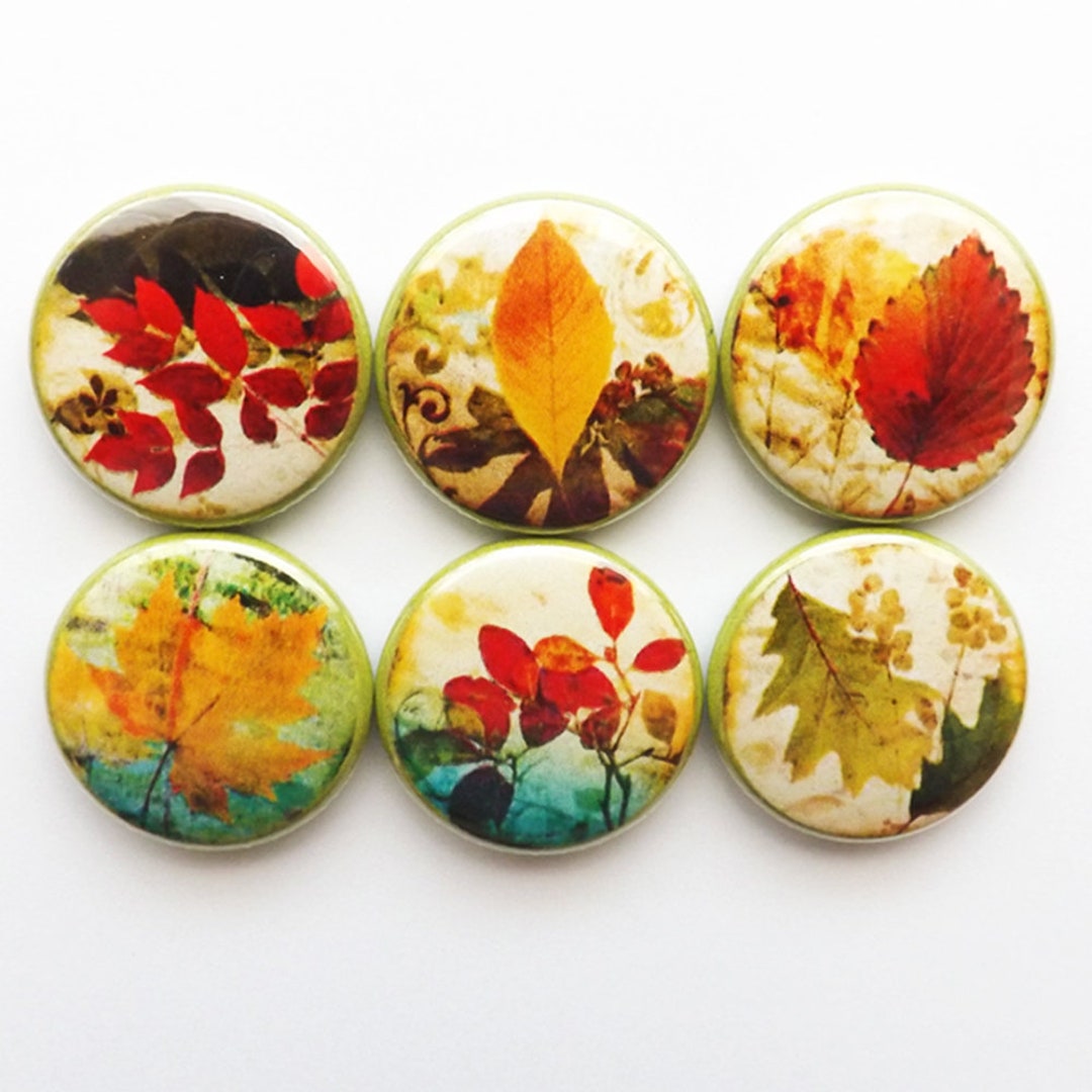 Fall Leaves Fridge MAGNETS Autumn Nature Party Favor Stocking Stuffer ...