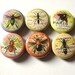 Insects Fridge Refrigerator Magnet Set Nature Bugs Bee Gift Party Favor ...