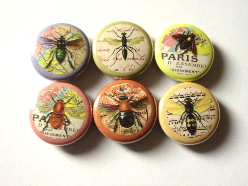 Insects Fridge Refrigerator Magnet Set Nature Bugs Bee Gift - Etsy