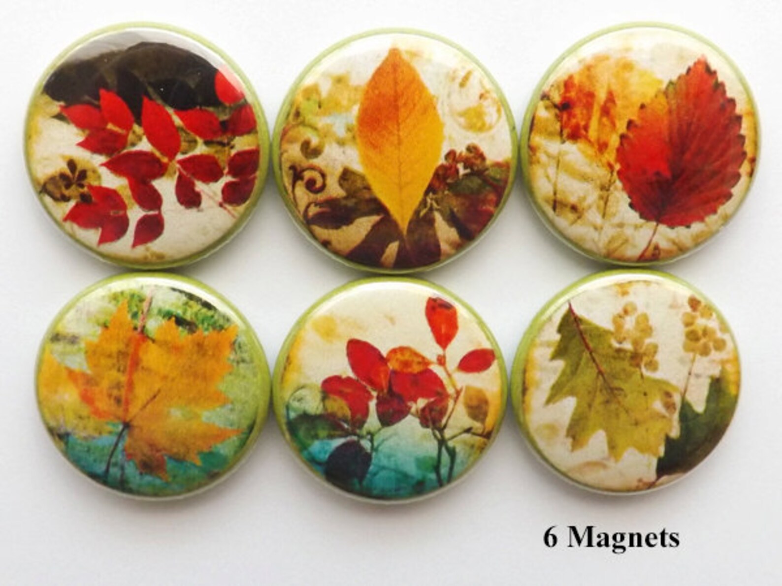 Fall Leaves Fridge MAGNETS Autumn Nature Party Favor Stocking - Etsy