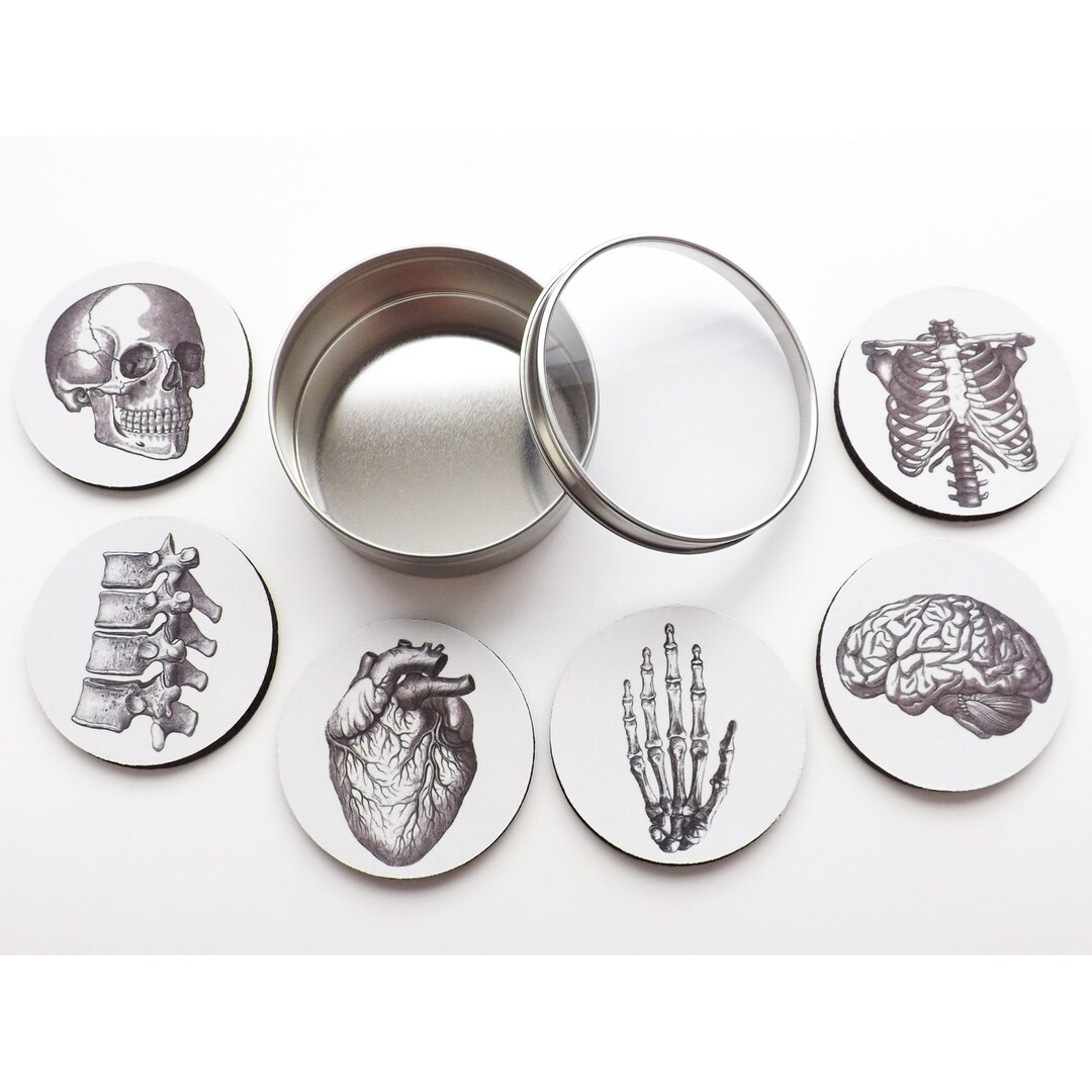 Anatomy Coasters Teacher Medical Student Hostess Gifts Party Favors ...