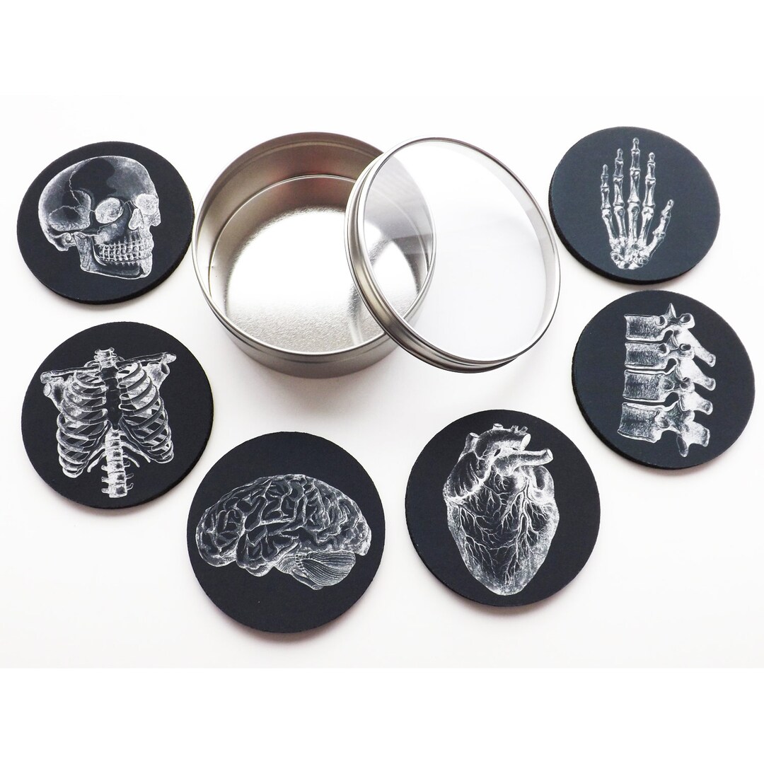 Anatomy Coaster Future Doctor Male Nurse Medical Student Physician ...