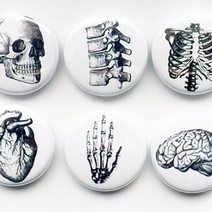 Goth Brain Anatomy Ornament Halloween Christmas Decoration Home Decor ...