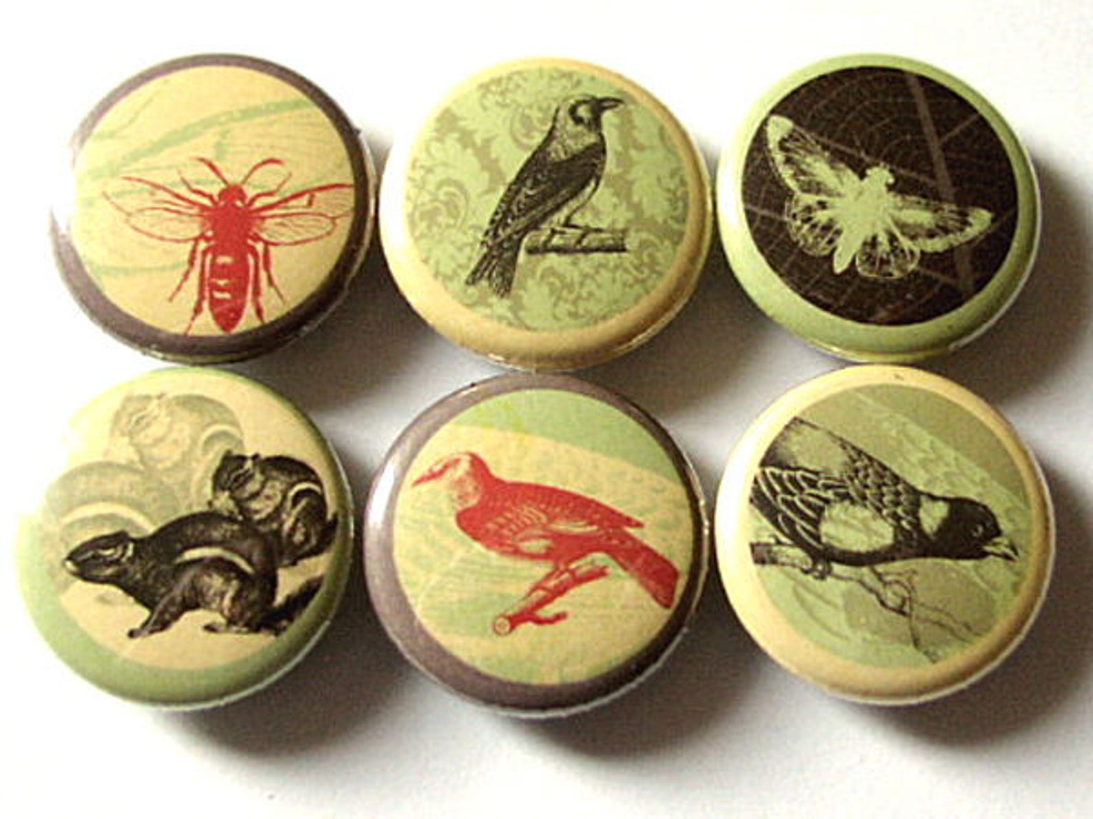 Button Pins Woodland Creatures Squirrel Birds Bee Moth Crow Party ...