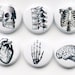 Human Anatomy Teacher Gift Magnets Brain Skull Anatomical Heart ...
