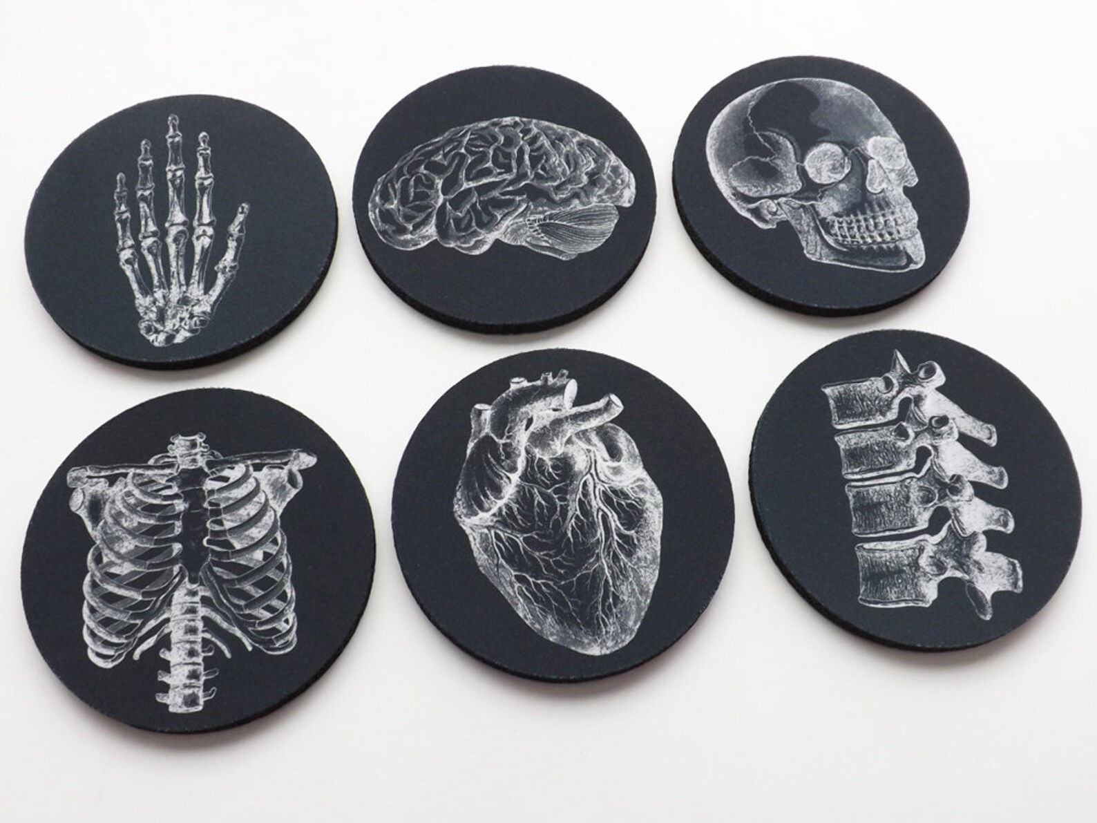 Small 2.5 Inch Car Coasters Anatomy Medical Auto Drink Cup | Etsy