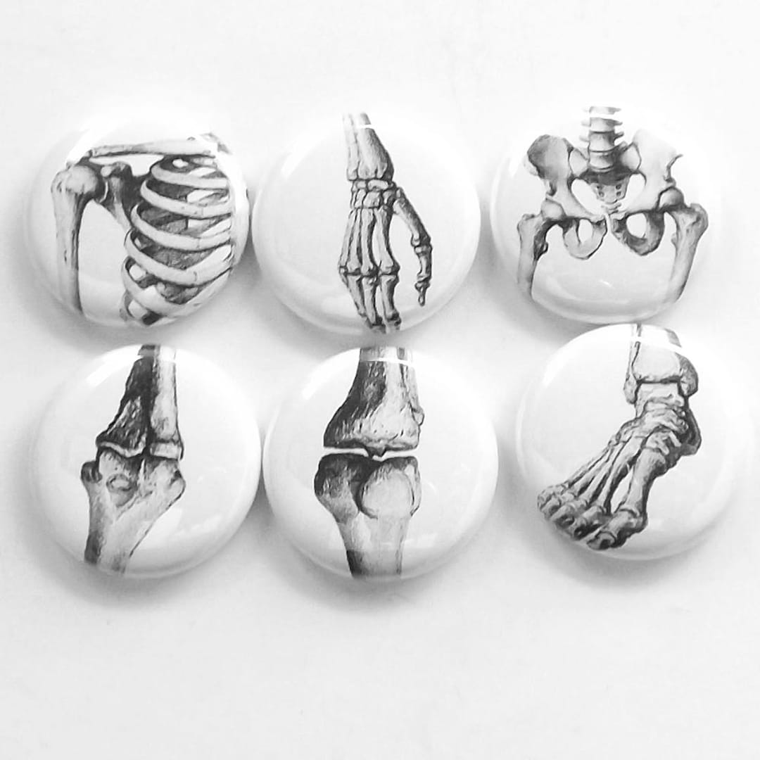 Joints Gift Anatomy Magnet Set Doctor Teacher Nurse Bones Arthritis Hip ...