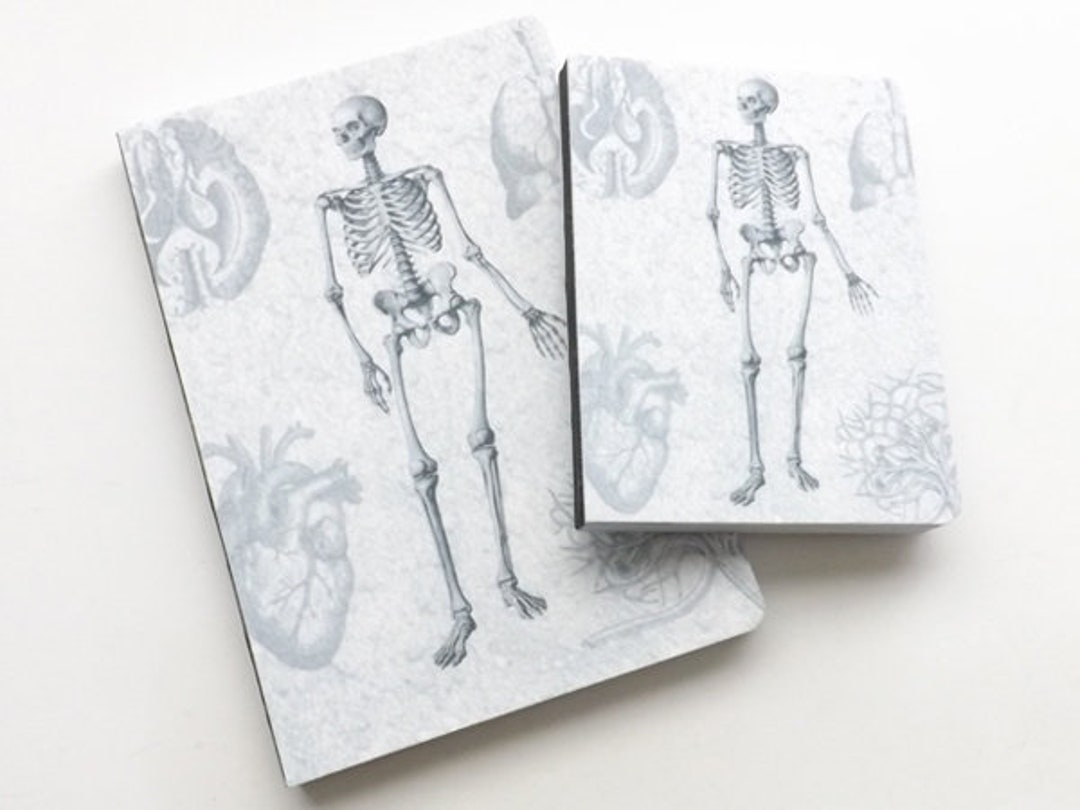 Felt Notebook Anatomy Gift Medical School Graduation Skeleton Doctor ...