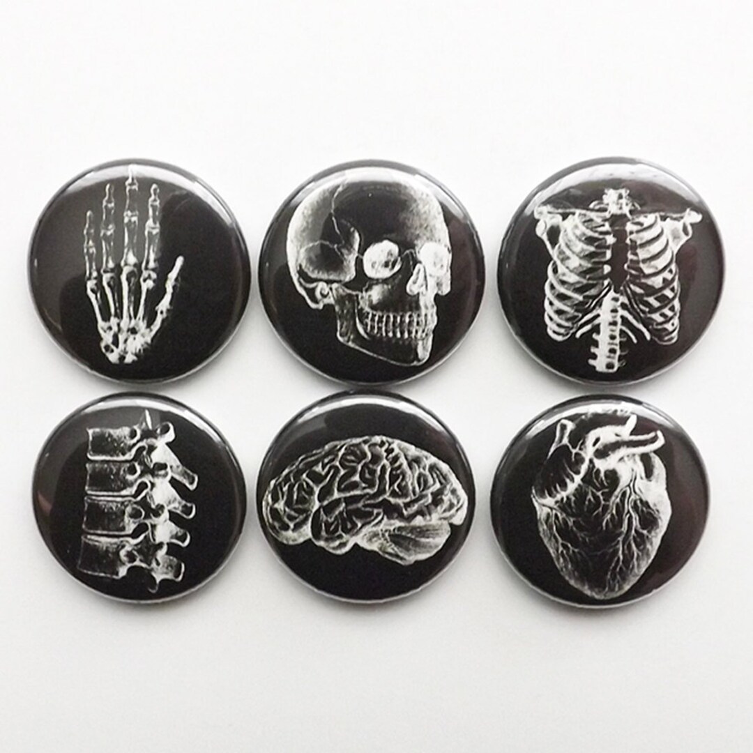 Anatomy Button Pins Badges Black White Human Anatomical Heart ...