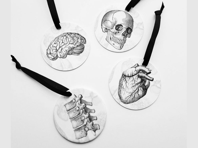 Spine Ornament Halloween Christmas Goth Home Decor Party - Etsy