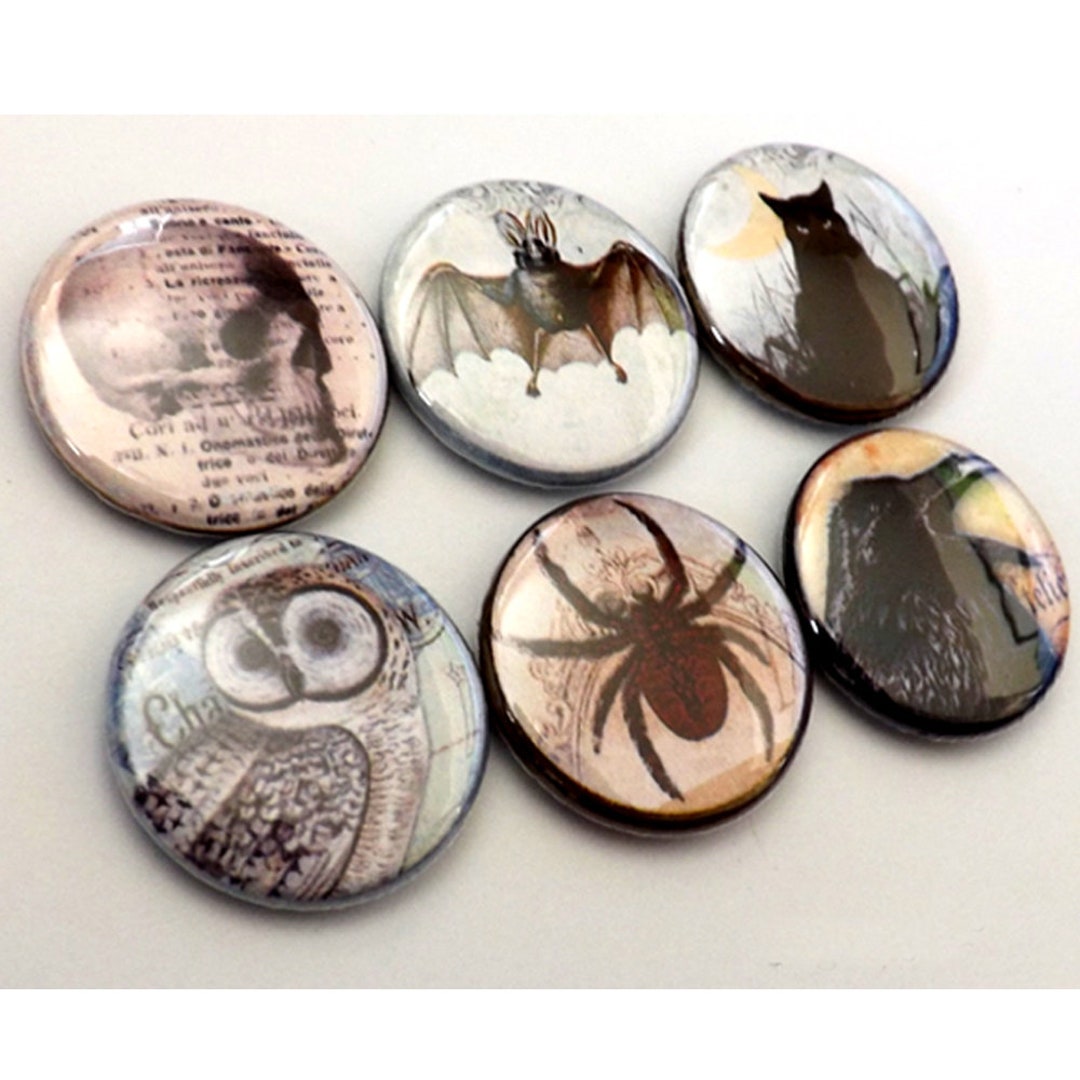Horror Macabre Goth Fridge Magnet Set Spider Skull Crow Cat Bat ...