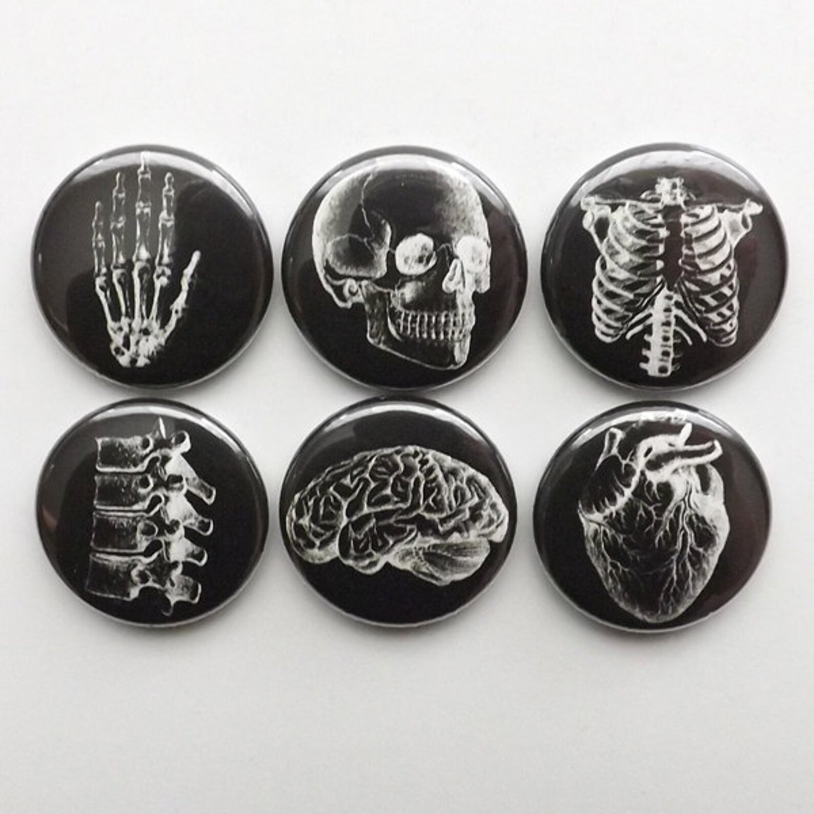 Doctor Graduation Gift Anatomy Magnet White Black Med Student | Etsy