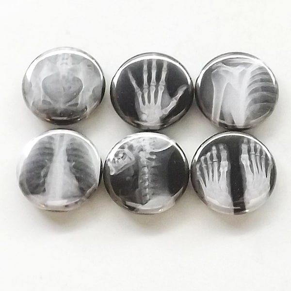 Radiology Graduation - Etsy