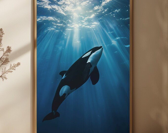 Orca in Underwater View, Scuba Diving Photo, Orca Photo, Ocean Photo ...