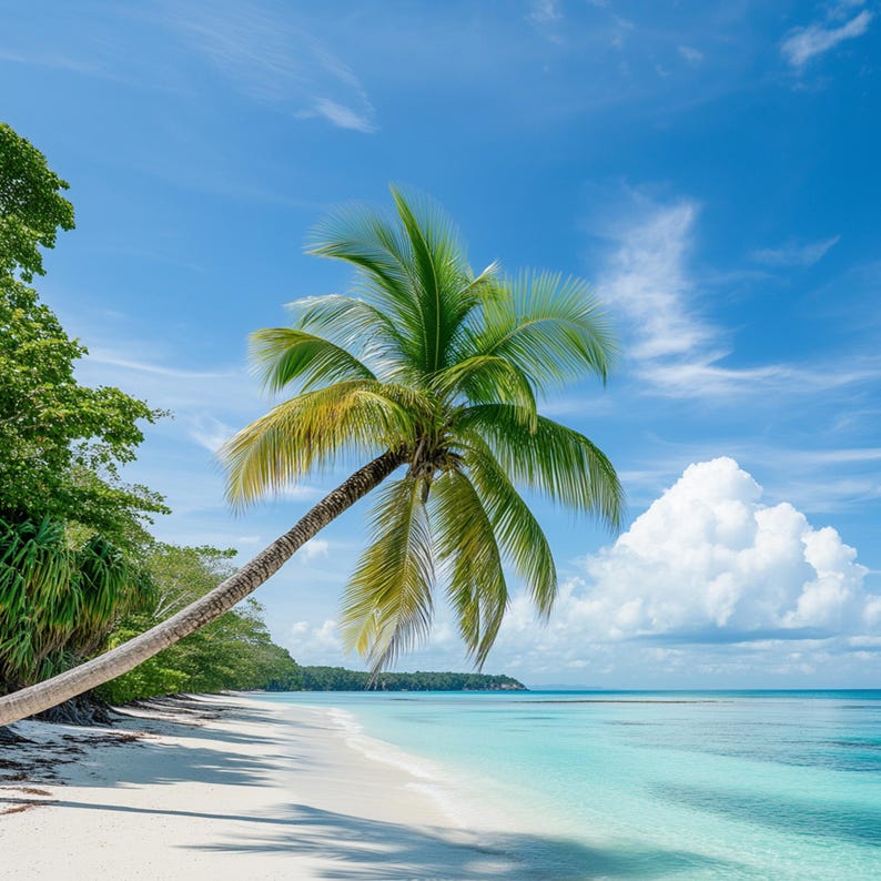 Printable Tropical Beach Poster, Photography Beach and Palm Tree ...