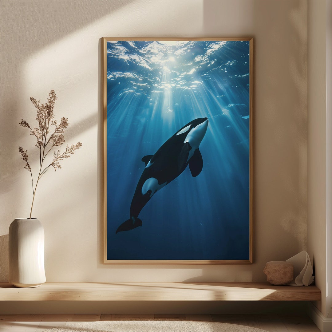Orca in Underwater View, Scuba Diving Photo, Orca Photo, Ocean Photo ...