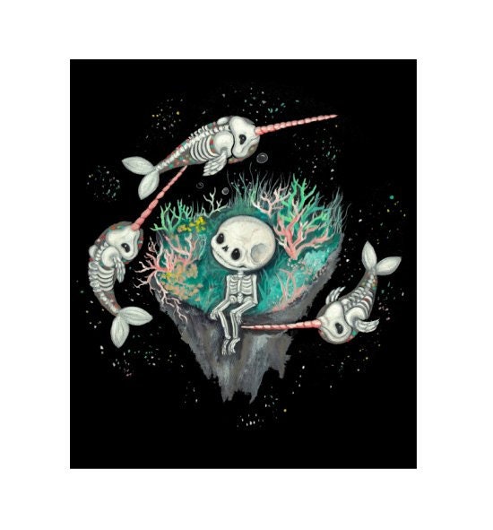 Narwhal Skeleton Diagram