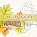 Digital Stamp Hedgehog Leaves, Digi Autumn Fall, Coloring Page, Cute ...