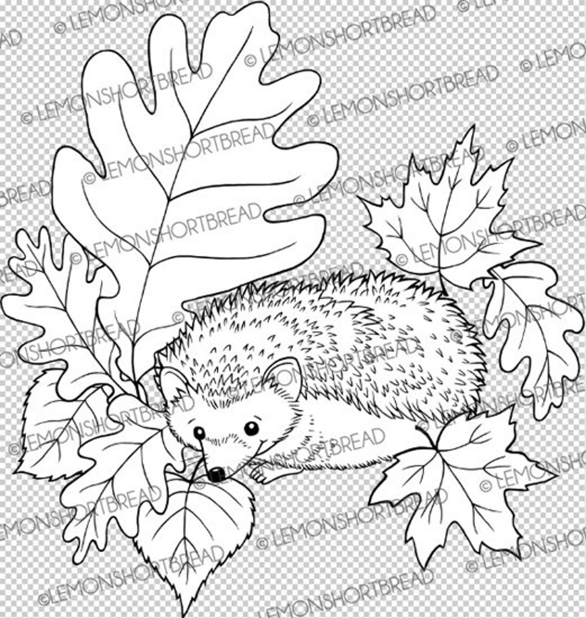 Digital Stamp Hedgehog Leaves Digi Autumn Fall Coloring | Etsy