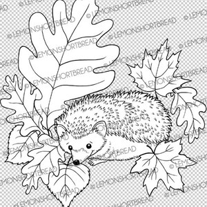 Digital Stamp Hedgehog Leaves, Digi Autumn Fall, Coloring Page, Cute ...