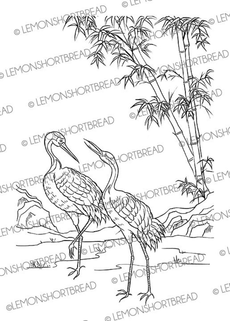 Digital Stamp Chinese Japanese Cranes Digi Download Birds | Etsy