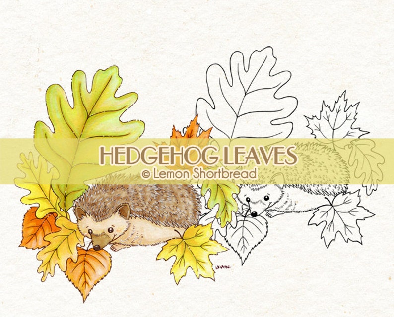 Digital Stamp Hedgehog Leaves Digi Autumn Fall Coloring - Etsy